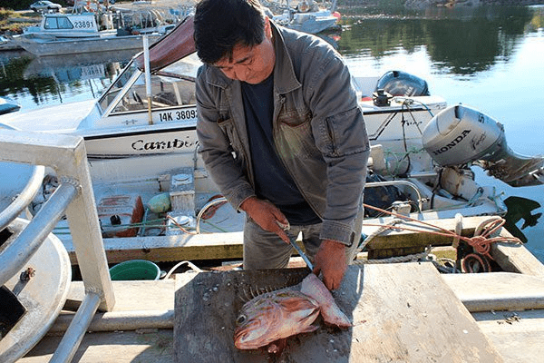 Bella Bella Fish Plant: The Vancouver Fish Factory Revived - vancouver ...